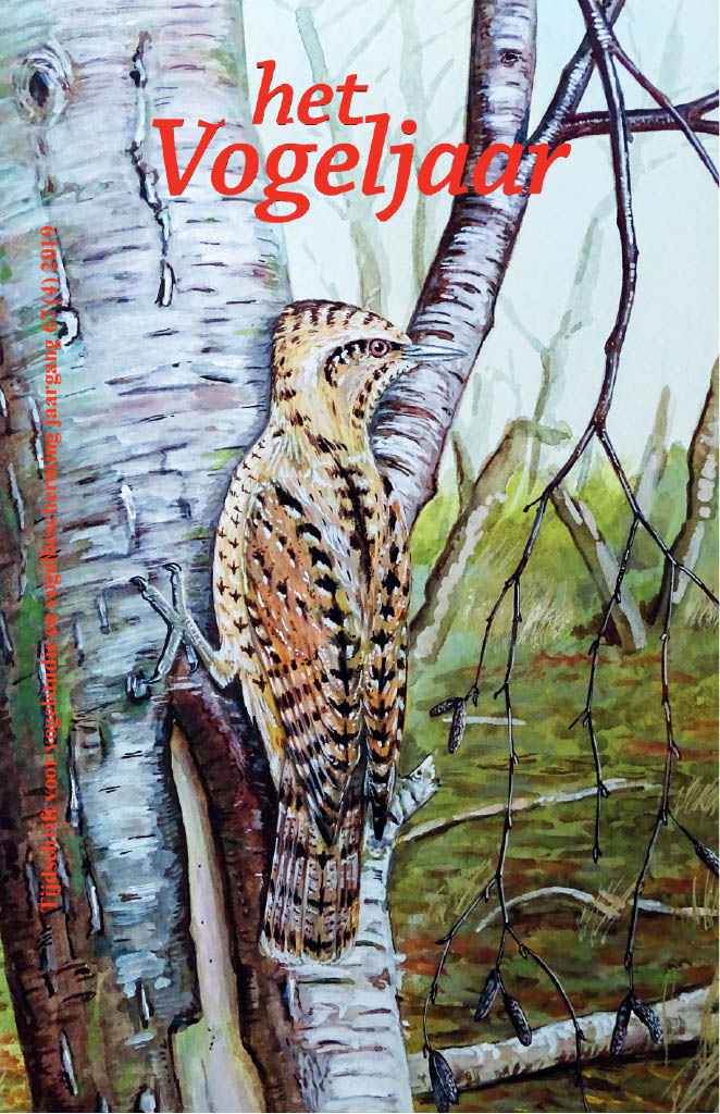 Natuurtijdschriften: Vogeleieren