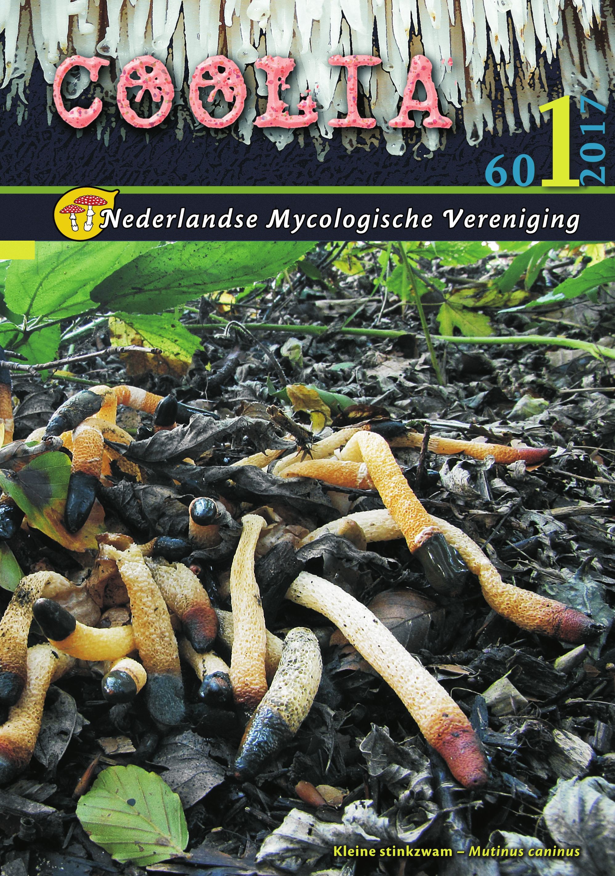 Natuurtijdschriften: Over paddenstoelenfoto's in Coolia