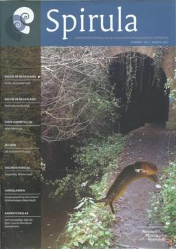 Natuurtijdschriften: De schelpen van mijn vader